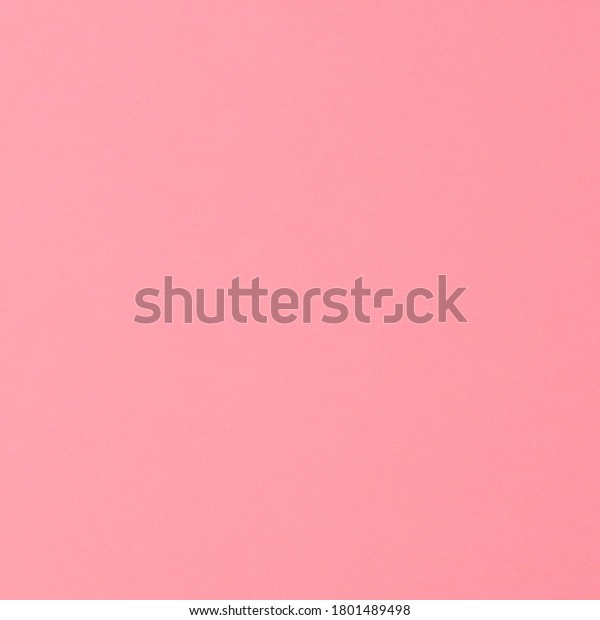 Solid Baby Pink Background Image Stock Photo 1801489498 | Shutterstock
