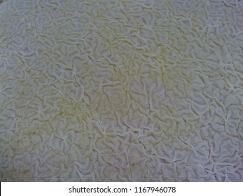 Solid Muddy Water Texture Stock Photo 1167946078 | Shutterstock