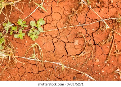 72,716 Africa Ground Images, Stock Photos & Vectors | Shutterstock