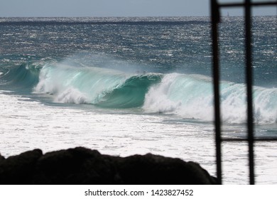Froggy beach Images, Stock Photos & Vectors | Shutterstock