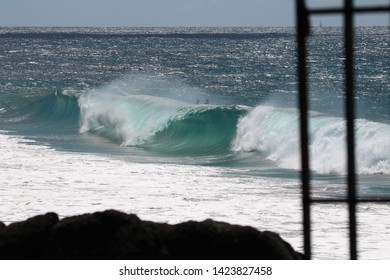 Froggy beach Images, Stock Photos & Vectors | Shutterstock