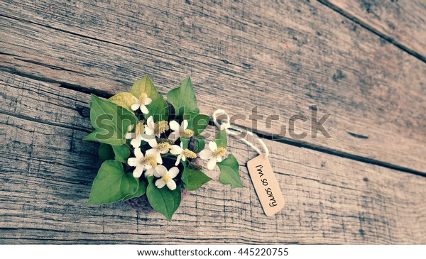 Sorry Background White Tiny Flower On Stock Photo 445220755 | Shutterstock