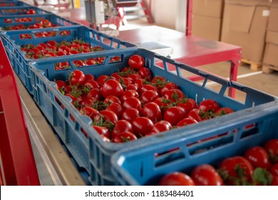 51,287 imágenes de Food packing line - Imágenes, fotos y vectores de ...