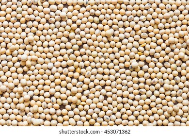 Soy Bean Texture On White Background Stock Photo 453070477 | Shutterstock