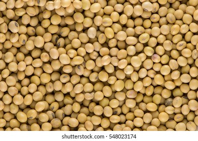 Soybean Background Stock Photo 548023174 | Shutterstock