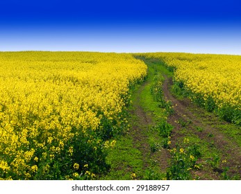 1,084 Minnesota farm landscape Images, Stock Photos & Vectors ...