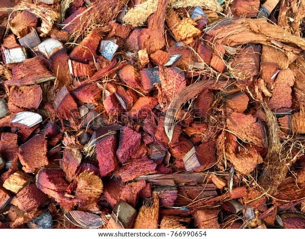Spathe Coconut Stock Photo 766990654 | Shutterstock