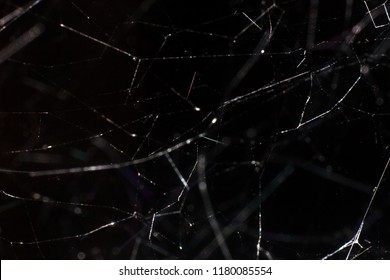 690 Spider web zoomed Images, Stock Photos & Vectors | Shutterstock