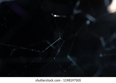 690 Spider web zoomed Images, Stock Photos & Vectors | Shutterstock
