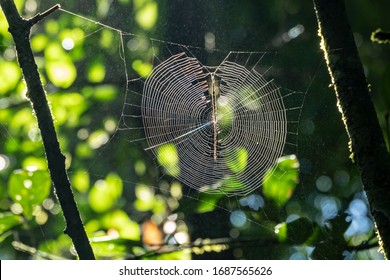 5,108 Spider Net Park Images, Stock Photos & Vectors | Shutterstock