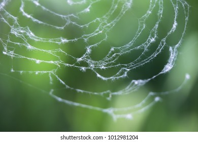 358 Web Without A Spider Images, Stock Photos & Vectors | Shutterstock