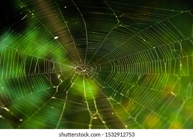 358 Web Without A Spider Images, Stock Photos & Vectors | Shutterstock
