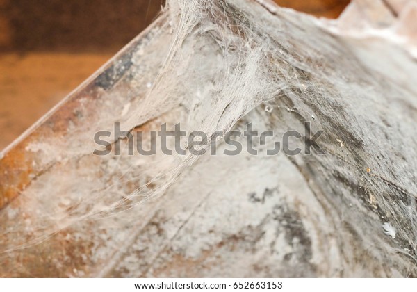 Spiders Create Cobweb On Machine Stock Photo 652663153 | Shutterstock