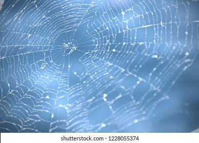 25,035 Spider web blue Images, Stock Photos & Vectors | Shutterstock