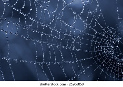 21,422 Blue spider web background Images, Stock Photos & Vectors ...