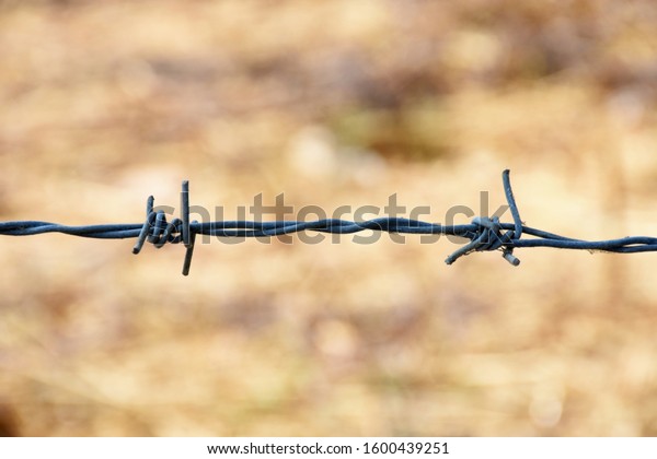 Spiky Barbed Wire Has Blurred Background Stock Photo 1600439251 ...