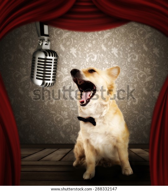 Spitz Dog Microphone Singing Performance On Stock Photo (Edit Now ...