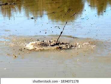 223 Pebble thrown water Images, Stock Photos & Vectors | Shutterstock