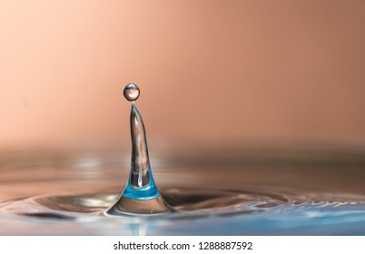 Splashed Out Splashed Falling Drop On Stock Photo 1288887592 | Shutterstock