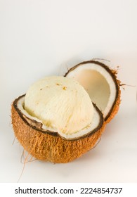 334 Coconut Embryo Images, Stock Photos & Vectors | Shutterstock