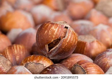 6,847 Split shell Images, Stock Photos & Vectors | Shutterstock