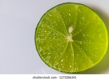 192 Hydroponics lemon Images, Stock Photos & Vectors | Shutterstock