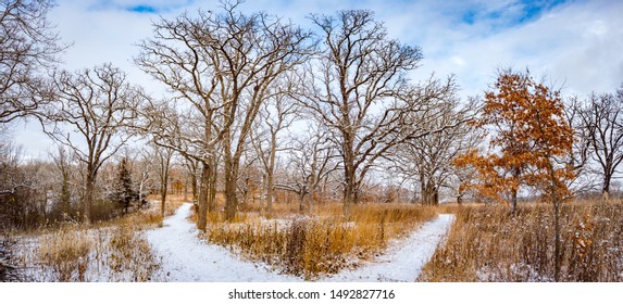 Split Path Snowy Forest Trail Quarry Stock Photo (Edit Now) 1492827716