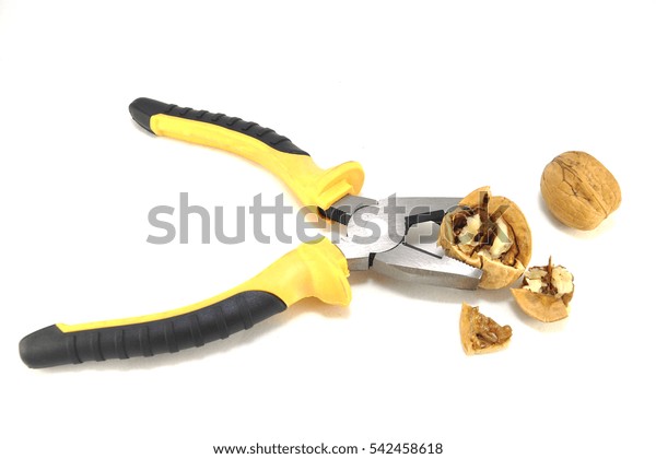 Split Walnut On White Background Stock Photo 542458618 | Shutterstock