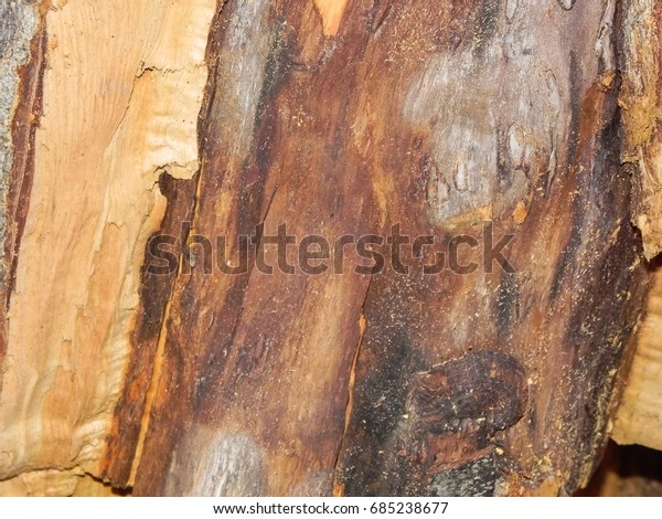 Split Wood Texture Stock Photo (Edit Now) 685238677