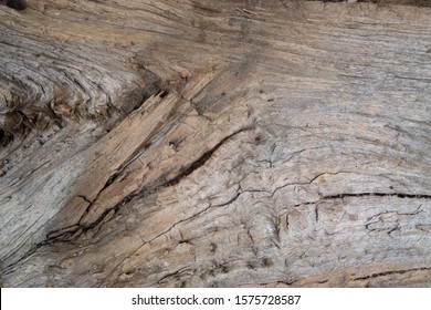 Split Wooden Log Texture Background Stock Photo 1575728587 | Shutterstock