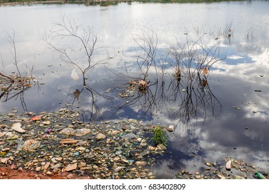 Spoiled Water Problem Rotten Garbage Stock Photo 683402809 | Shutterstock