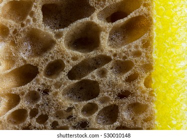Sponge Texture Close Stock Photo 530010148 | Shutterstock