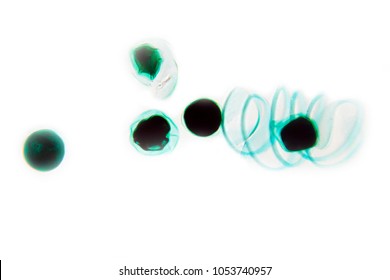 Spore Under Microscope Stock Photo 1053740957 | Shutterstock