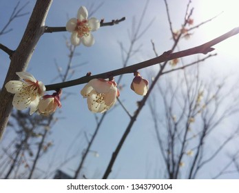 571 Spring around the corner Images, Stock Photos & Vectors | Shutterstock