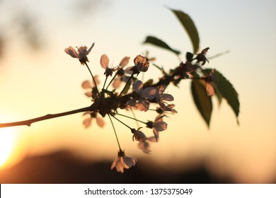 575 Spring around the corner Images, Stock Photos & Vectors | Shutterstock