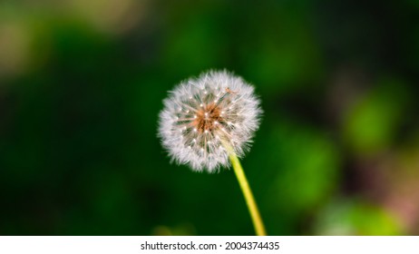 571 Spring around the corner Images, Stock Photos & Vectors | Shutterstock