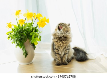 364,238 Funny spring animals Images, Stock Photos & Vectors | Shutterstock