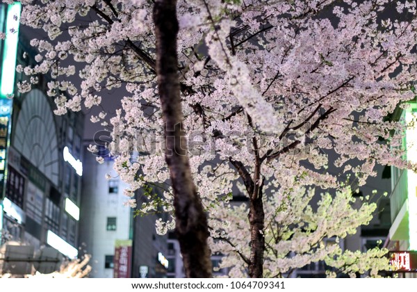 Spring Background Korea Stock Photo (Edit Now) 1064709341