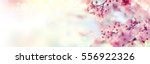Sakura Easter Sunny Day Spring PPT template 26 | CrystalGraphics