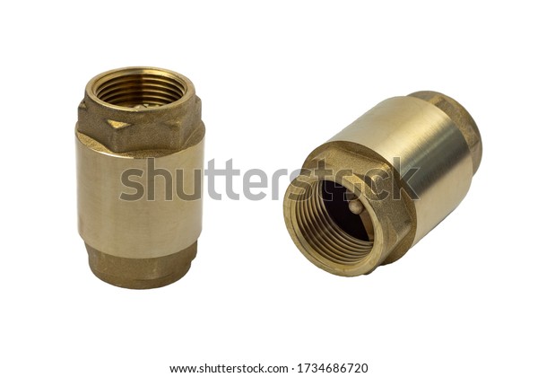 Spring Check Valve Different Angles Isolated Stock Photo 1734686720 ...