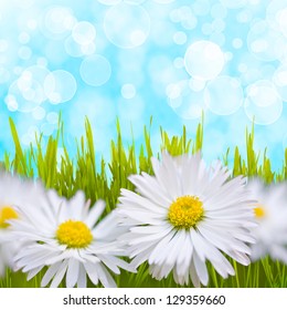 Spring Daisy Field Easter Card PPT template 60 | CrystalGraphics