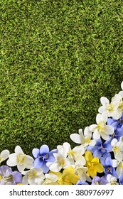 Spring Flower Bed Corner Border Copy Stock Photo 380976997 | Shutterstock