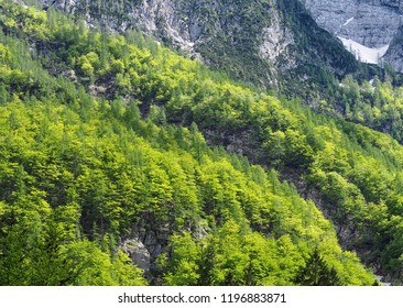 Gorge Forest Area Agrafa Mountains Thessaly Stock Photo (Edit Now ...