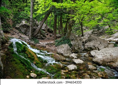 169,545 Forest stream scene Images, Stock Photos & Vectors | Shutterstock