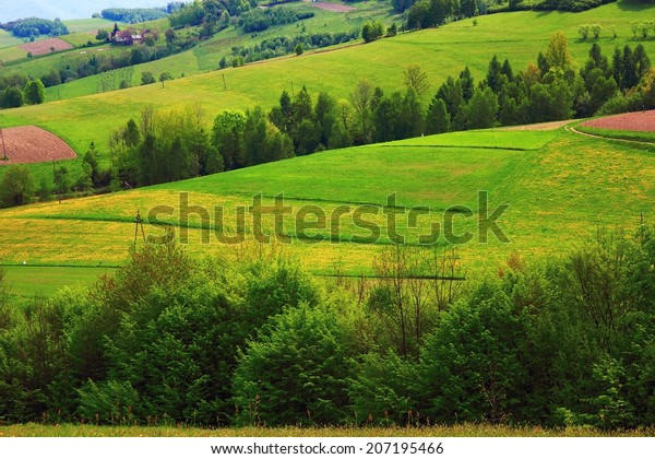 Spring Green Farm Fields On Hills Stockfoto 207195466 | Shutterstock