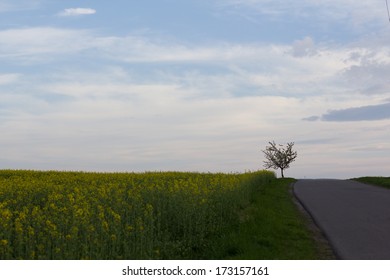 37,302 Partly cloudy Stock Photos, Images & Photography | Shutterstock