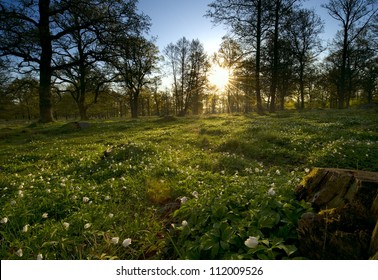 56,742 Sweden Spring Images, Stock Photos & Vectors | Shutterstock
