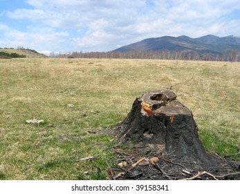 Stock Photo and Image Portfolio by Florin Angelescu | Shutterstock