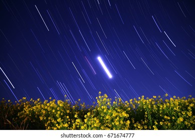 159,045 Beautiful spring night Images, Stock Photos & Vectors ...