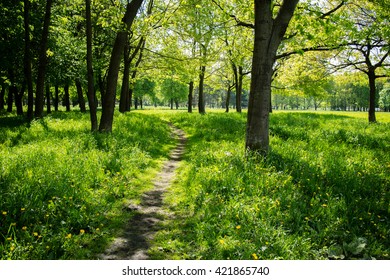 545,836 Sun Path Images, Stock Photos & Vectors | Shutterstock